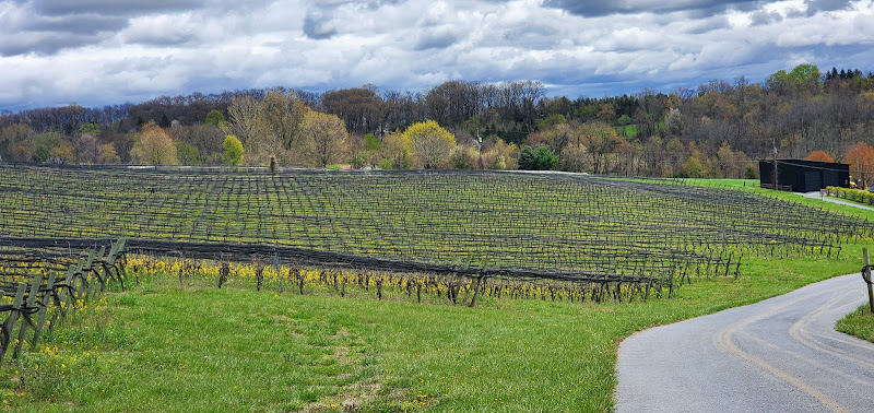 Setter Ridge Vineyards - Kutztown, PA 19530 - BerksConnect