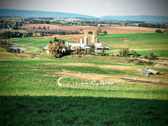 Deep Roots Valley Farm - Mohrsville, PA 19541 - BerksConnect