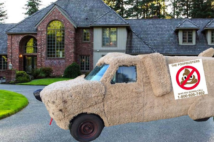The Poopbusters - Wyomissing, PA 19610 - BerksConnect