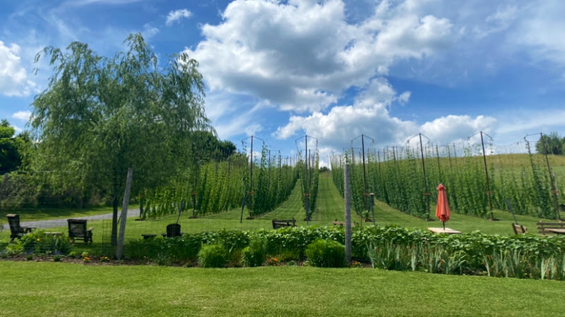Fawn Hill Hop Yard - Reading, PA 19607 - BerksConnect