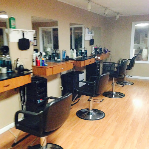 Shear Delight Designs - Reading, PA 19606 - BerksConnect