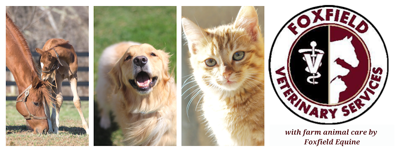 Foxfield Veterinary Services - Downingtown, PA 19335 - BerksConnect