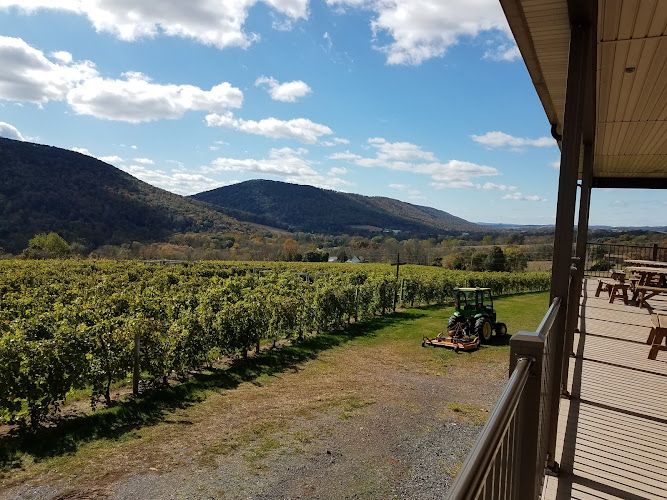 Benigna's Creek Vineyard & Winery - Klingerstown, PA 17941 - BerksConnect